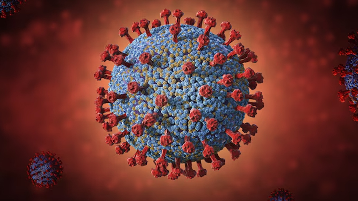 Nipah Virus Explained: What It Does to Your Brain and Body | OnlyMyHealth