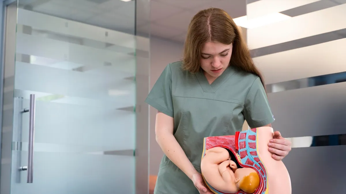 What Is Placenta Delivery? A Gynaecologist Explains the Final Stage of ...