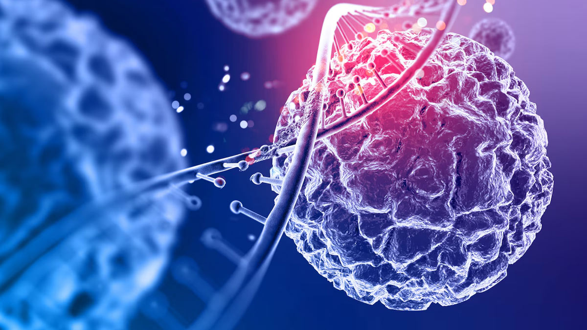 Can Chocolate Regenerate Stem Cells? Expert Weighs In | OnlyMyHealth