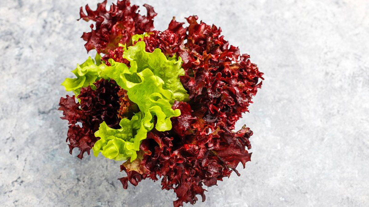 5 Benefits of Red Leafy Greens for Female Iron Levels | OnlyMyHealth