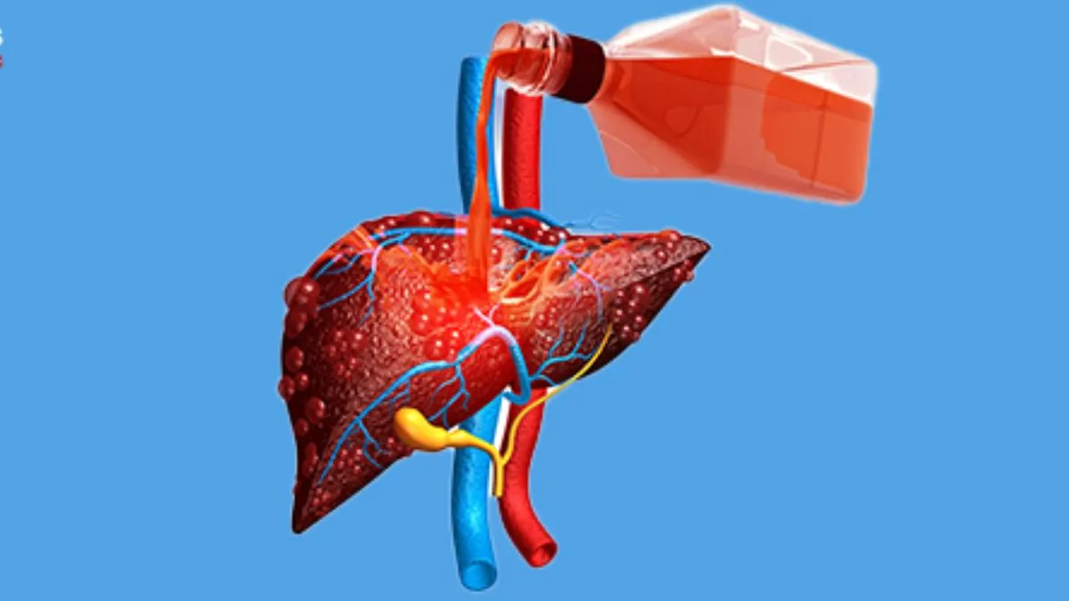Can Liver Damage From Alcohol Be Reversed? Doctors Explain What Happens ...