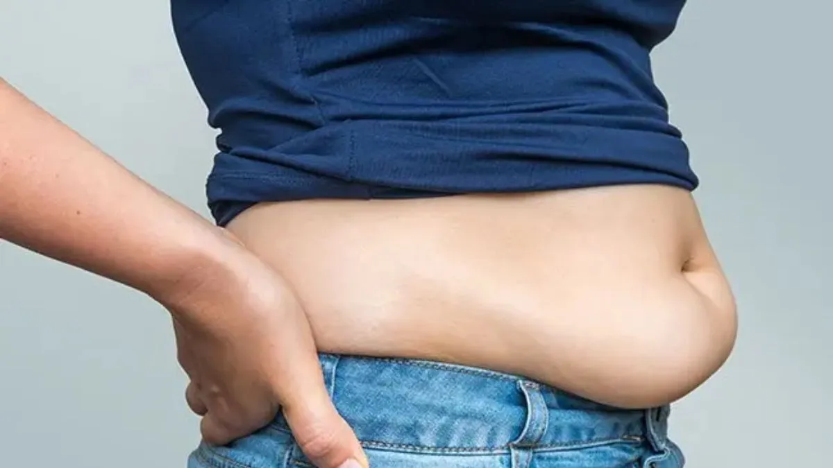 Visceral vs Subcutaneous Fat: Which Type of Obesity Is Most Dangerous ...