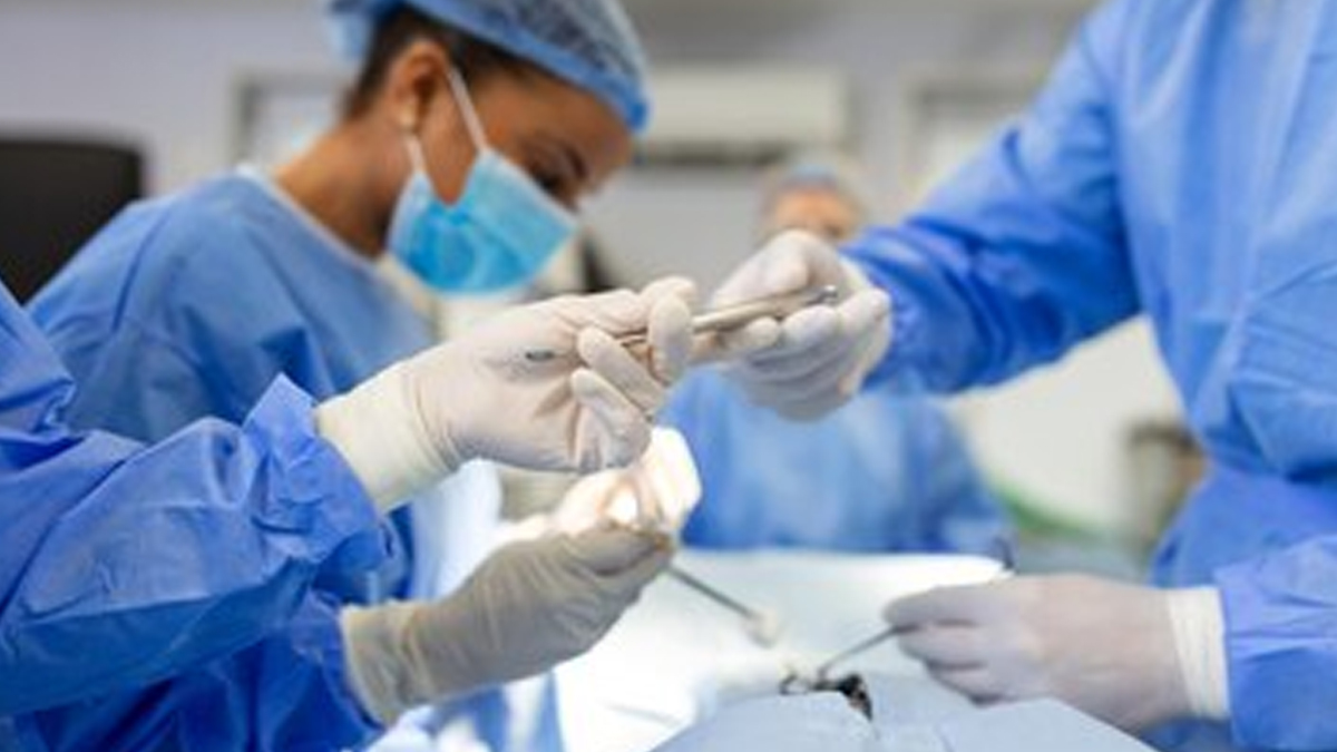 Surgical Options for Kidney Stones: A Complete Guide | OnlyMyHealth