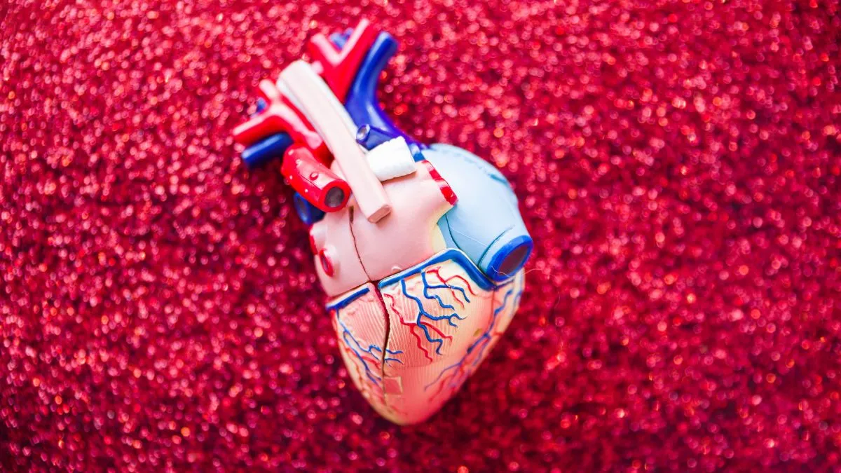 Why Is Heart Cancer So Rare? Scientists Have Finally Found the Answer ...