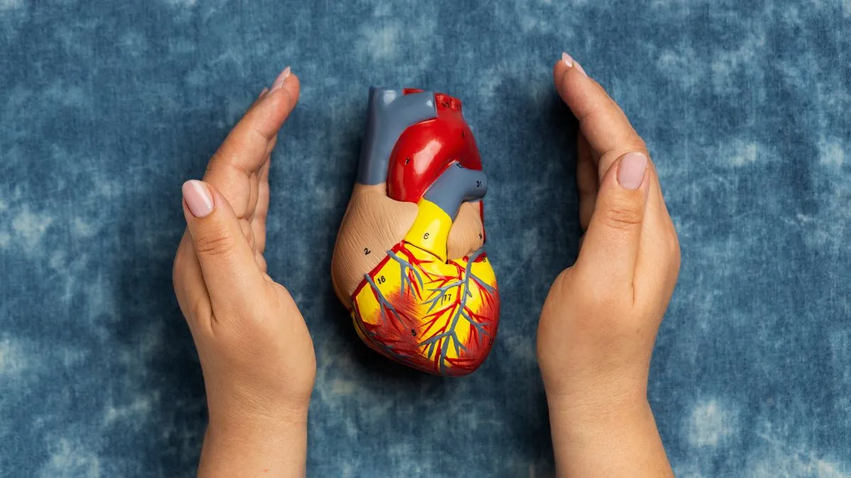 What is Heart Cancer? Know Its Causes and Risks | OnlyMyHealth
