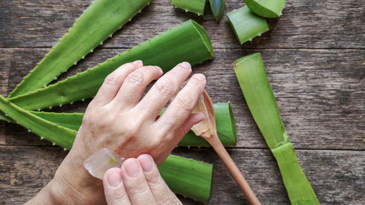 Can Applying Raw Aloe Vera Gel Lead To Skin Irritation? Dermatologist ...