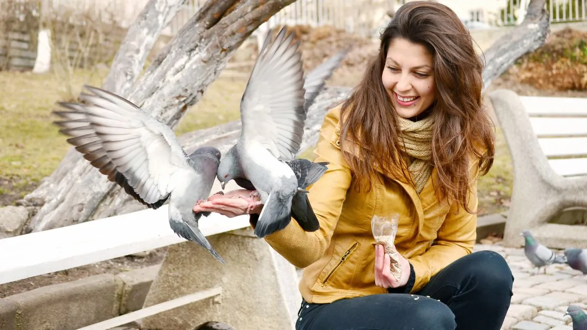 Pigeon Lung Disease: The Hidden Health Risk Many People Ignore ...