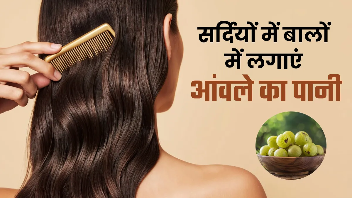 खुद आयुर्वेदिक डॉक्टर ने बताया है सर्दियों में बालों में आंवले का पानी ...