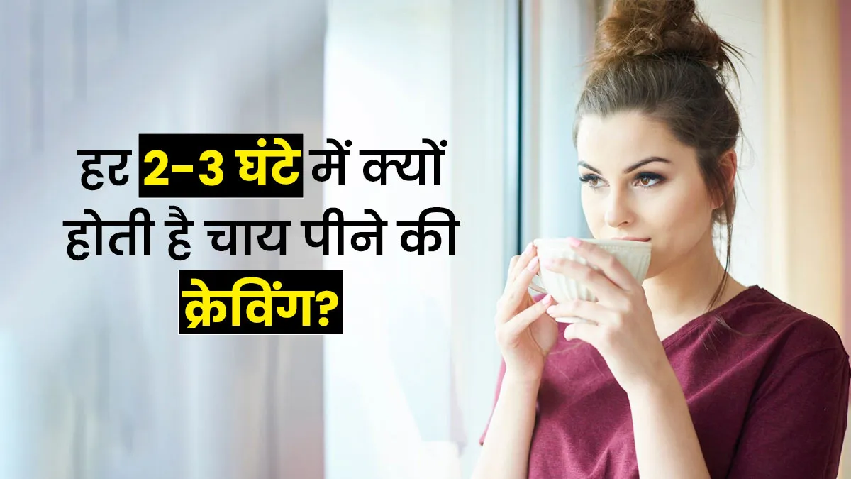 हर 2-3 घंटे में होती है चाय पीने की क्रेविंग? जानें आपका शरीर आपको क्या ...