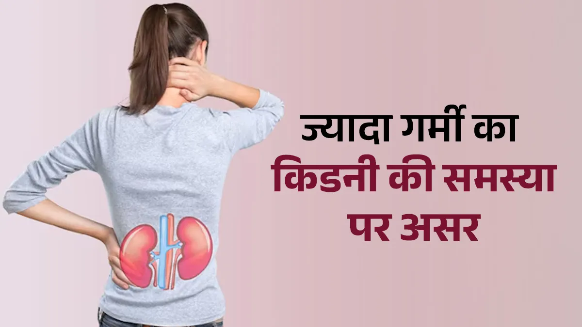 क्या भीषण गर्मी बढ़ा सकती है किडनी की परेशानी? डॉक्टर से जानें कैसे ...