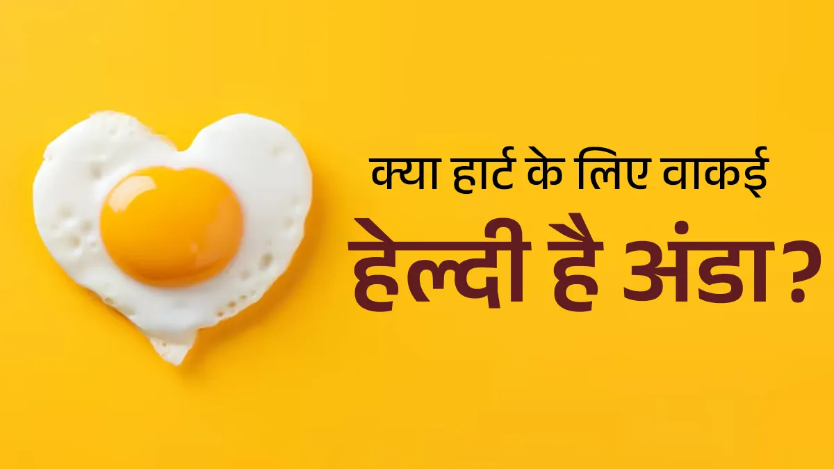 क्‍या अंडा खाना हार्ट हेल्‍थ के ल‍िए वाकई फायदेमंद है? जानें एक्सपर्ट ...