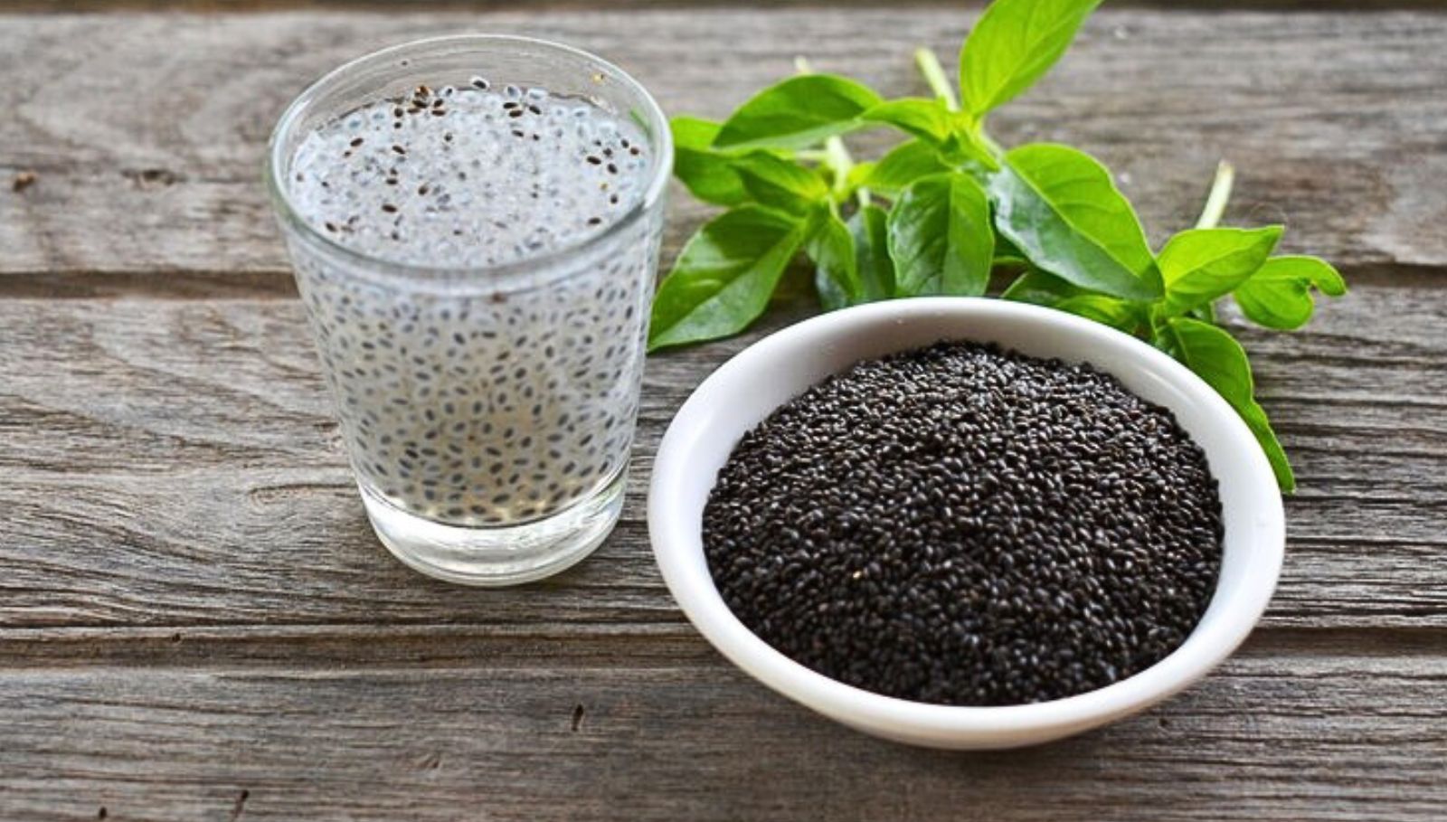 Thuthi Ilai: மோசமான மூல நோயை கூட ஒரே வாரத்துல சரிசெய்யும் துத்தி இலை ...