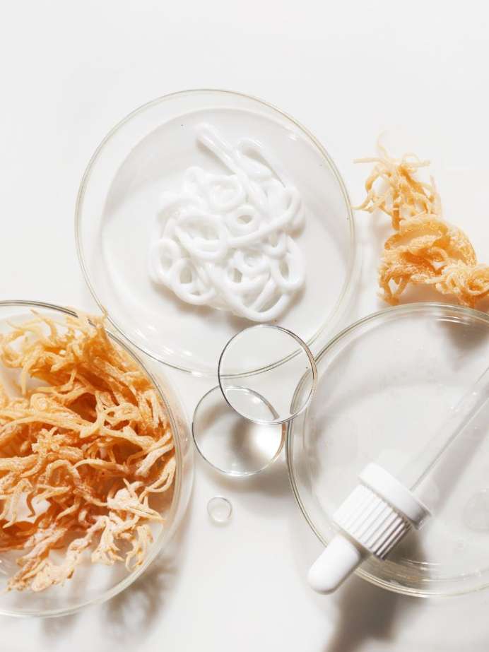 What Are The Benefits Of Sea Moss For Skincare? | Onlymyhealth