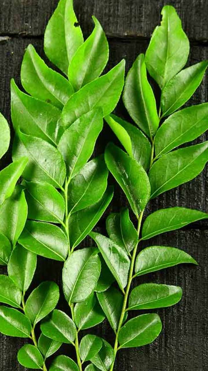 கறிவேப்பிலை சாப்பிடுவதால் கிடைக்கும் ஆரோக்கிய நன்மைகள்