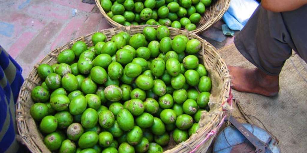 हाई बीपी से हड्डियों तक के लिए फायदेमंद है यह फल