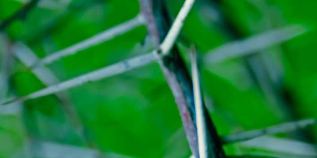 Benefits Of Brushing With Babool Twigs | Onlymyhealth