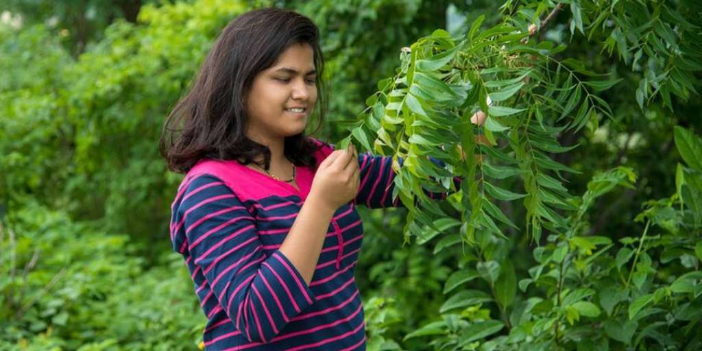 प्रेग्नेंसी में नीम की पत्तियां चबा सकते हैं या नहीं?