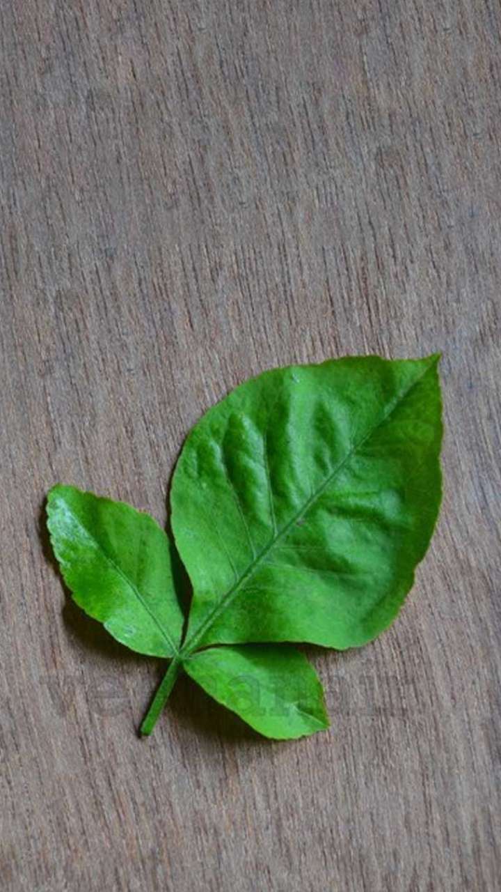 इन पत्तियों से दूर होंगी डायबिटीज से लेकर पेट से जुड़े रोग