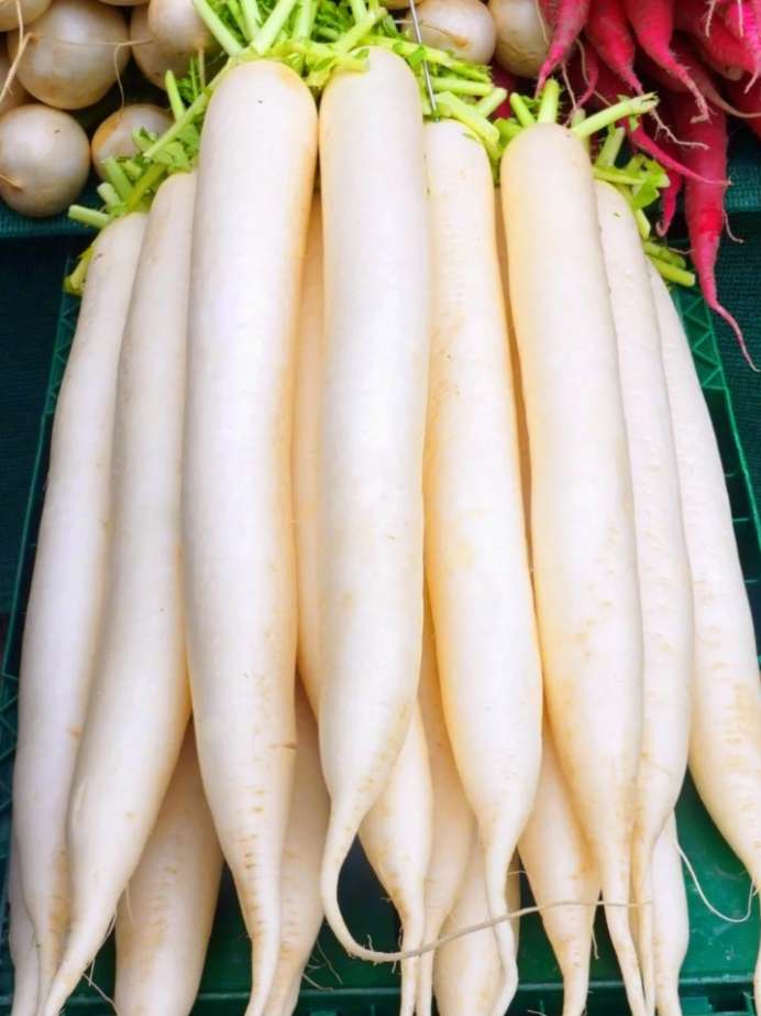 Health Benefits Of Radish In Winter | Onlymyhealth