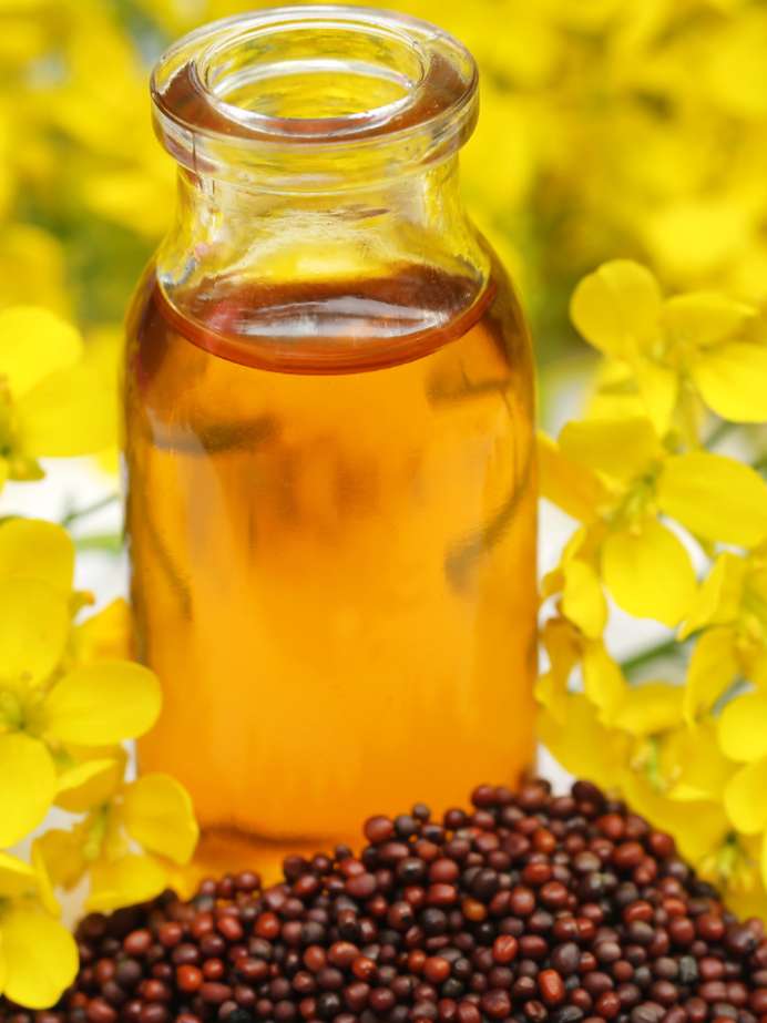 Benefits Of Cooking Daily Food In Mustard Oil | Onlymyhealth