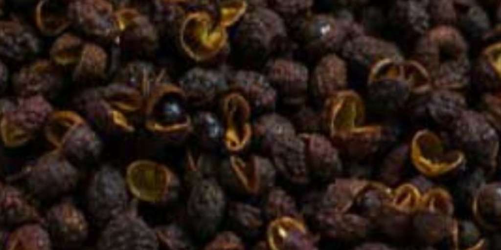 ब्लड प्रेशर कंट्रोल कर सकती है यह पहाड़ी नीम