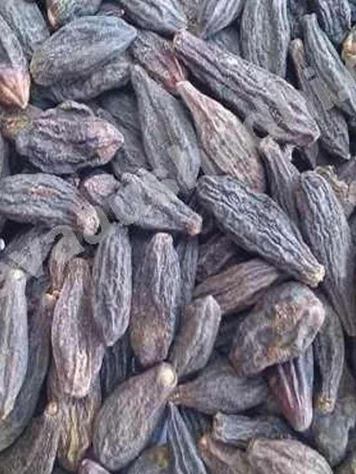 ठंड में खाएं हरड़, शरीर को मिलेंगे 5 फायदे