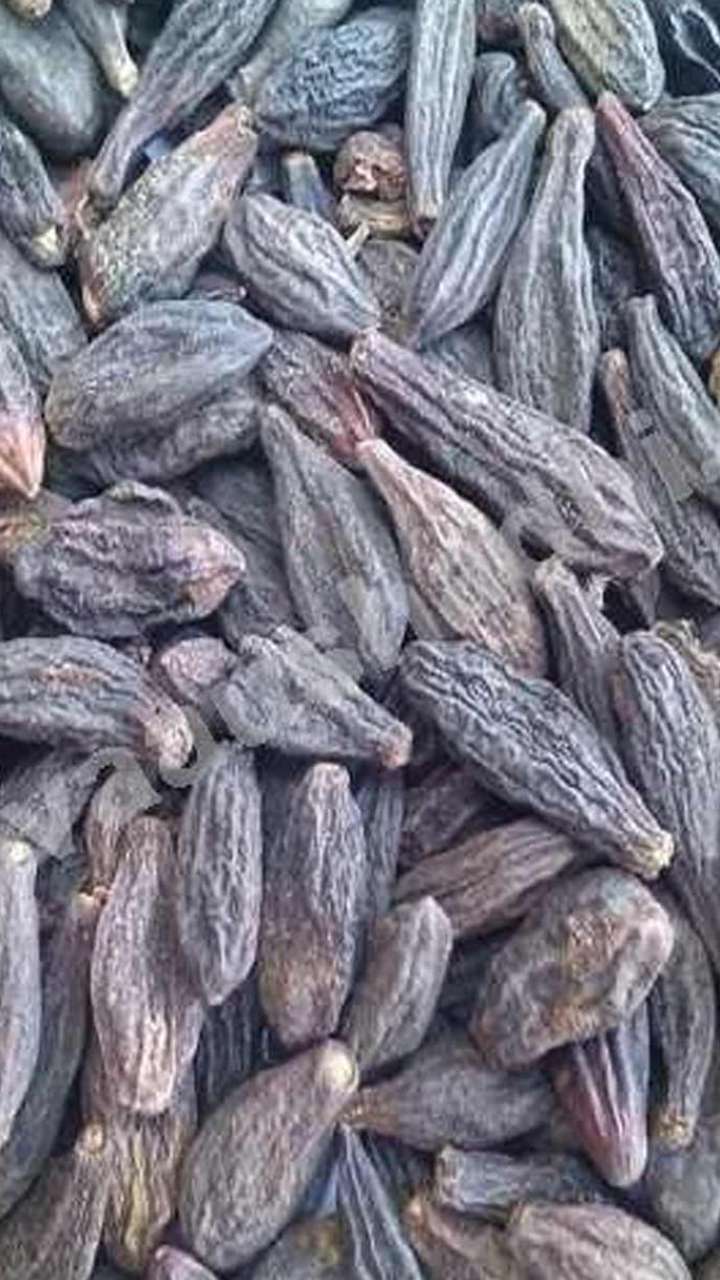 ठंड में खाएं हरड़, शरीर को मिलेंगे 5 फायदे