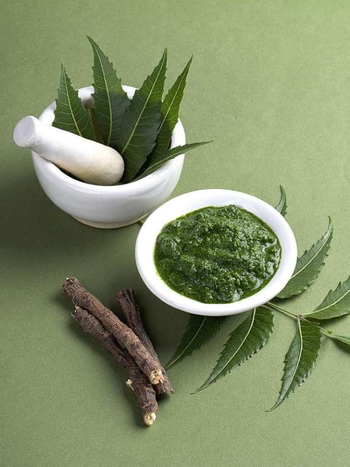 தினமும் வேப்பிலையை மென்று சாப்பிடுவதால் கிடைக்கும் நன்மைகள்!