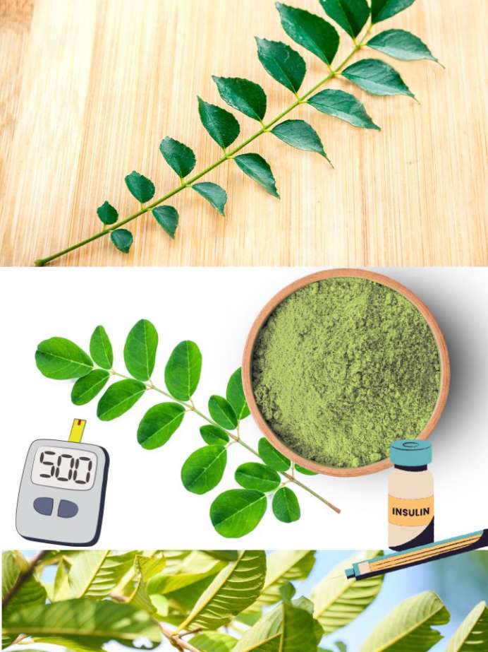 Which Leaves Are Good For Diabetics? | Onlymyhealth