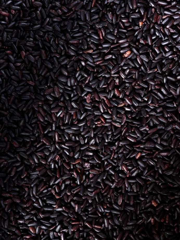 7 Super-Heathy Black Foods To Add To Your Winter Diet | Onlymyhealth