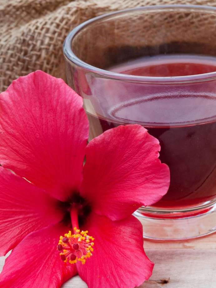 Health Benefits Of Drinking Hibiscus Tea In Winter | Onlymyhealth