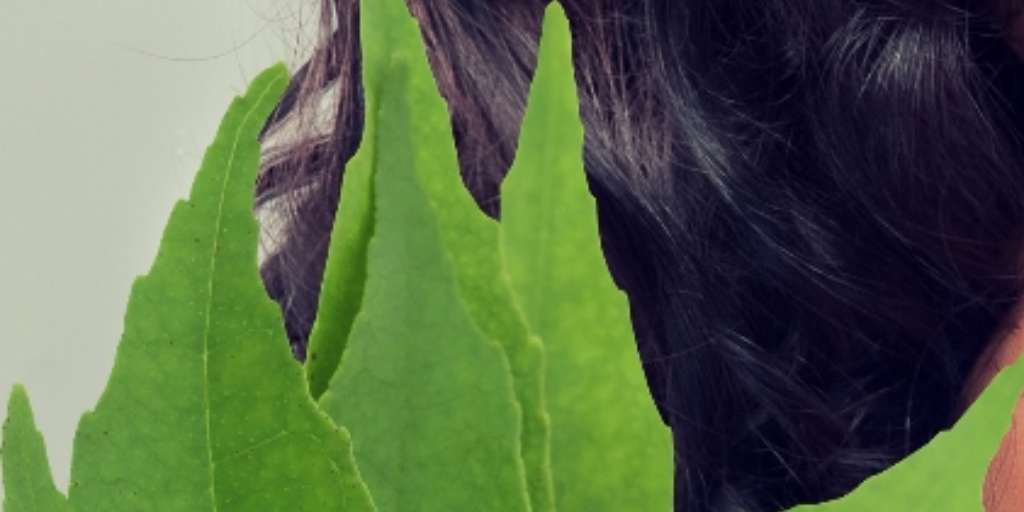 DIY Curry Leaves Hair Oil For Hair Growth And Volume