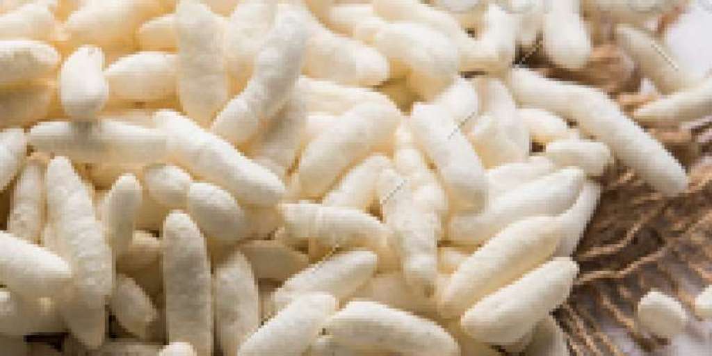 इस क्रंची स्नैक को खाने से सेहत को मिलेंगे जबरदस्त फायदे