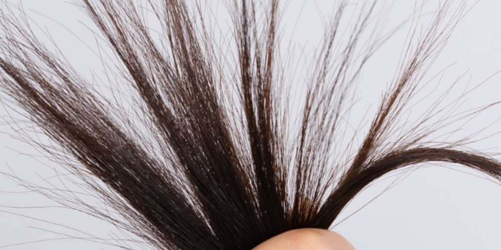 Top 5 Ways To Prevent Split Ends In Winters