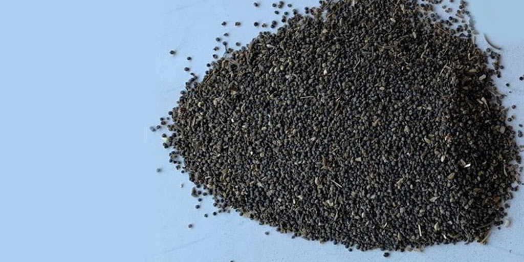 जोड़ों का दर्द दूर करे बथुआ के बीज