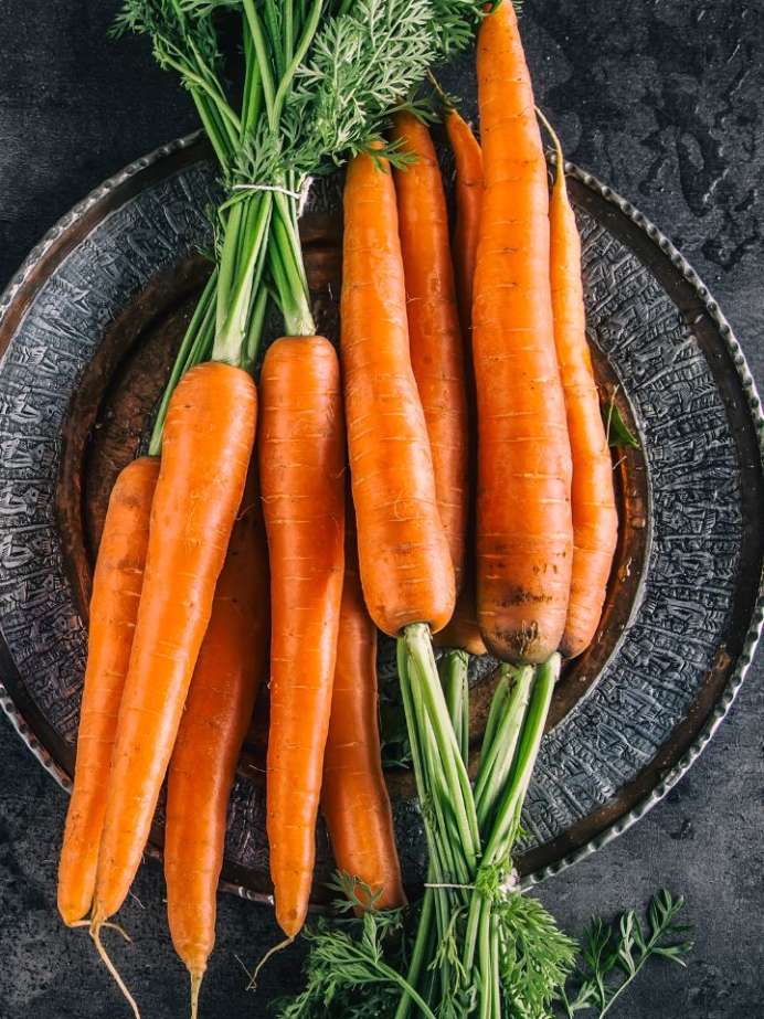 Top 7 Unique Carrot Dishes You Must Try This Winter | Onlymyhealth