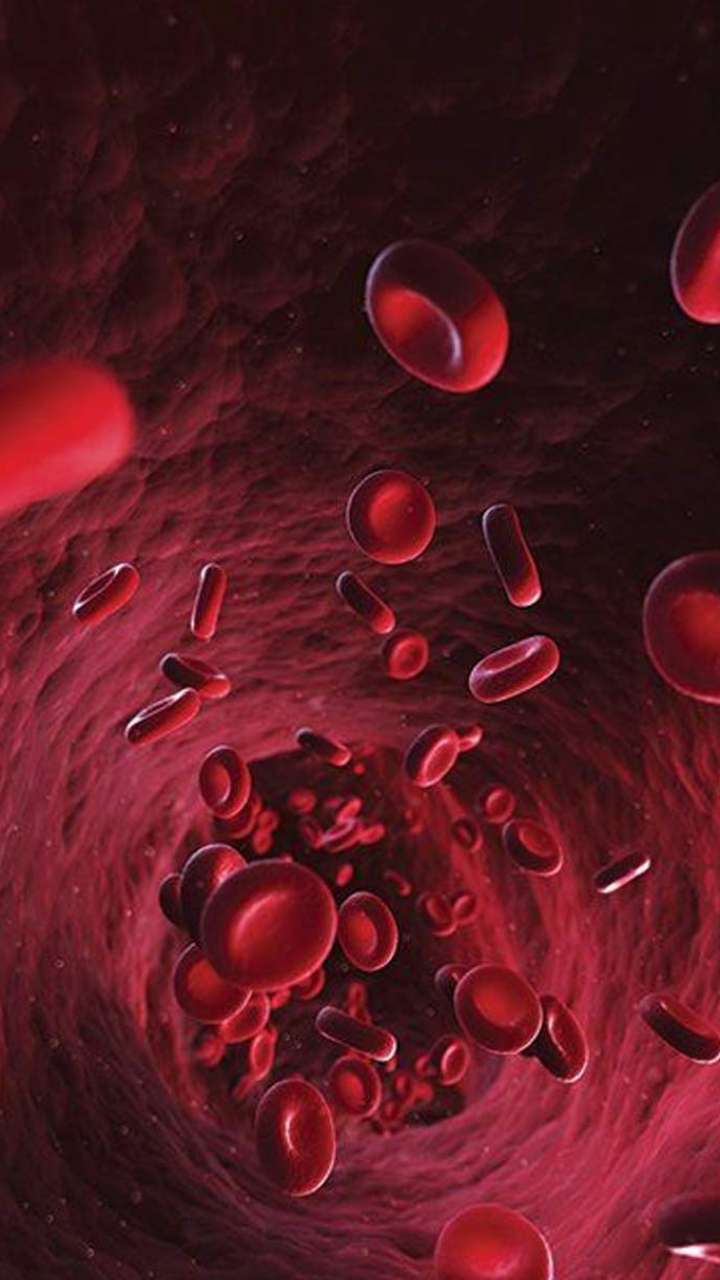 खून साफ करने के लिए खाएं ये 6 आयुर्वेदिक चीजें