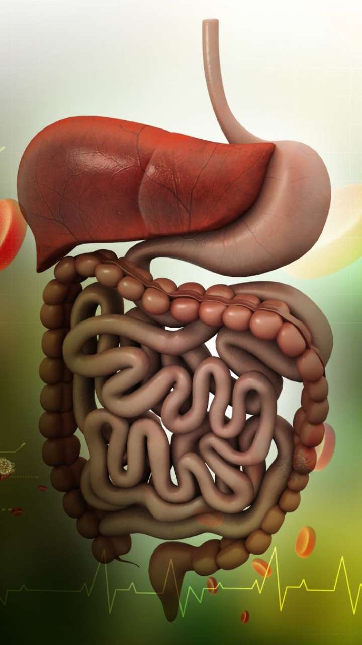 Top 7 Foods For Colon Health