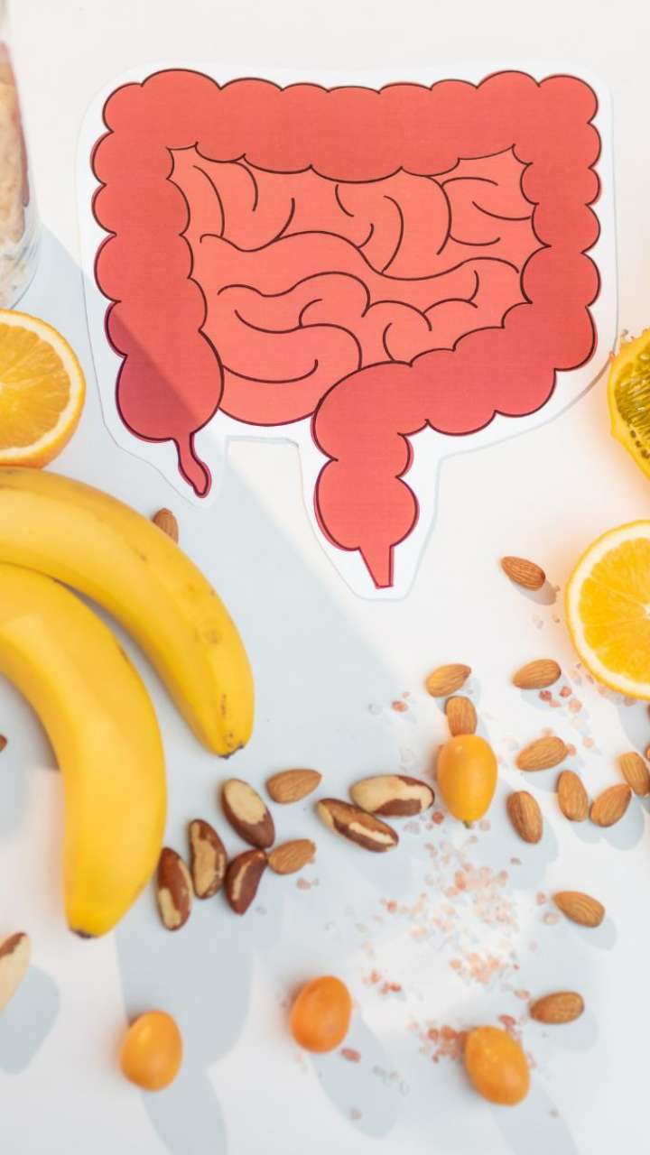 What Is The Best Probiotic To Improve Gut Health?