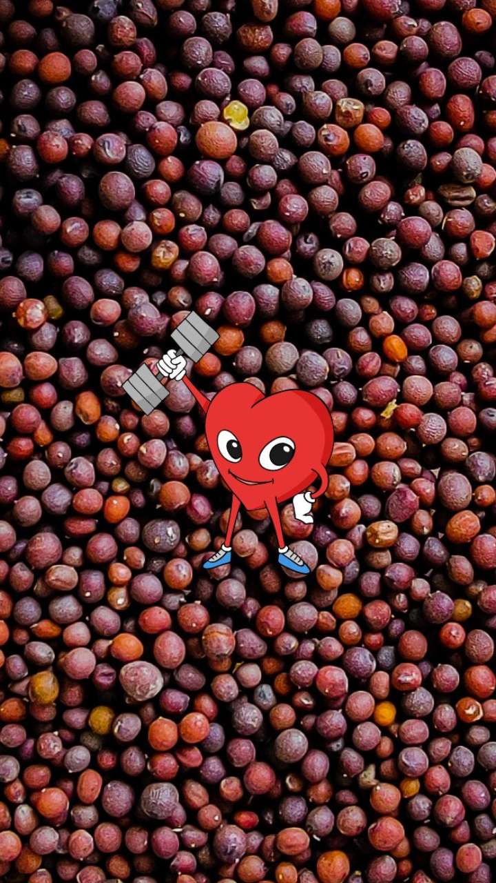 Is Mustard Seeds Good For Heart?