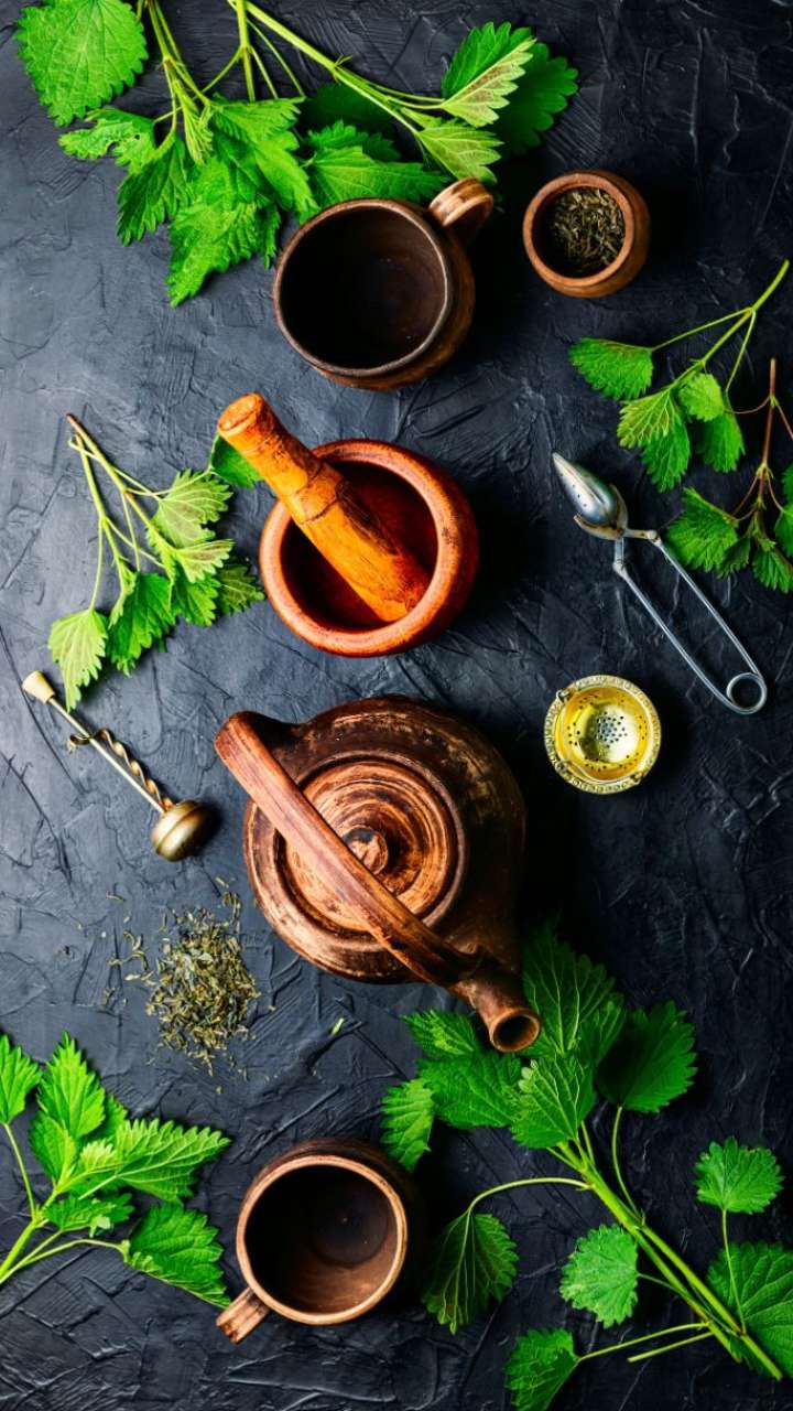 4 Health Benefits Nettle As Per Research