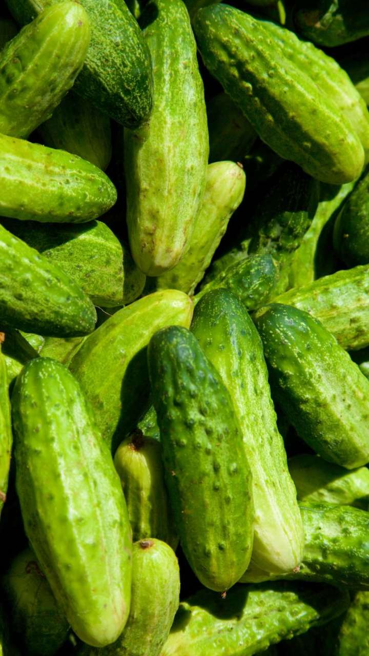 7 Proven Health Benefits Of Eating Cucumber! 7 Proven Health Benefits Of Eating Cucumber!