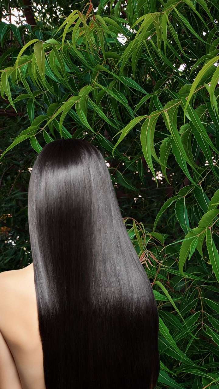 6 Ways Neem Can Boost Your Hair Health!