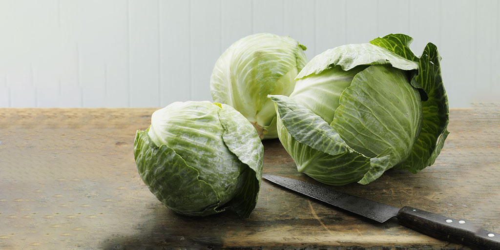 Health Benefits Of Cabbage In Hindi at Stephanie Gray blog
