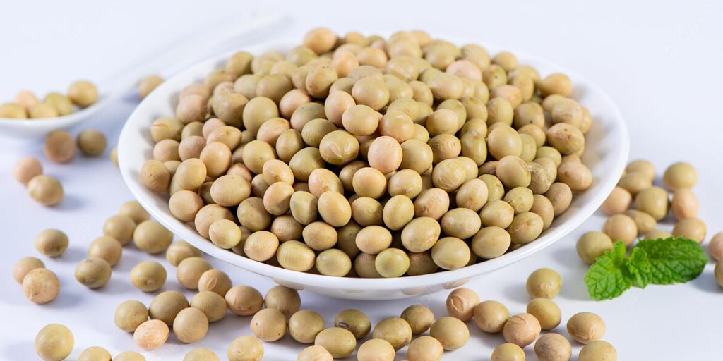 Benefits of consuming Soyabean