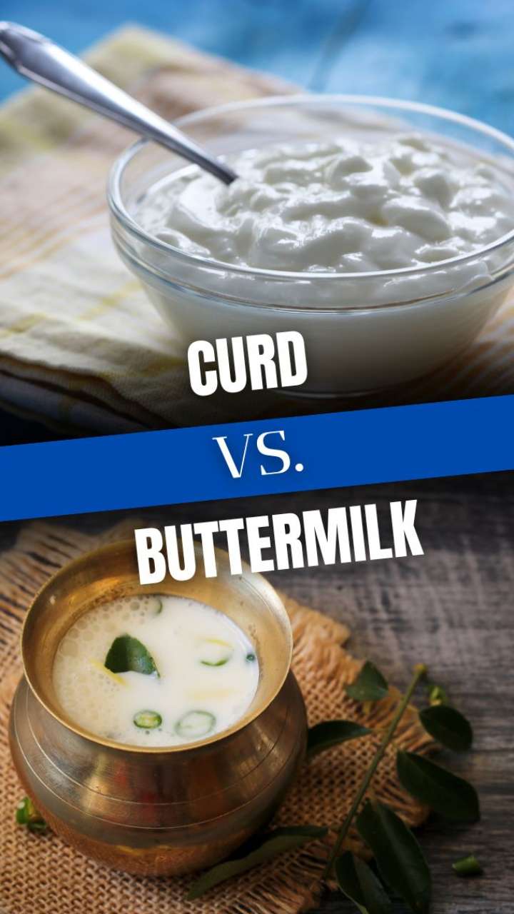 Curd Vs Buttermilk: Which Is Better Probiotic To Boost Gut Health?