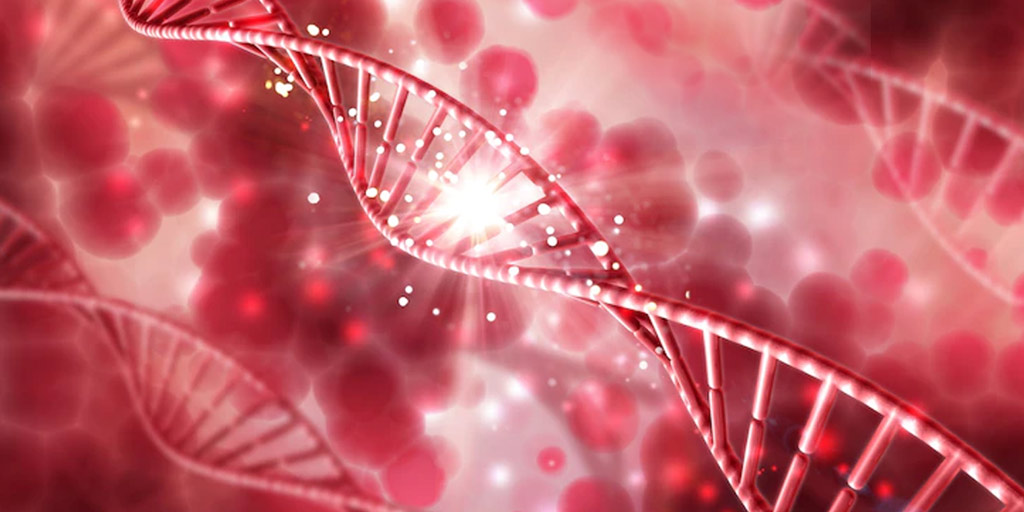 What is Thalassemia?, and its symptoms