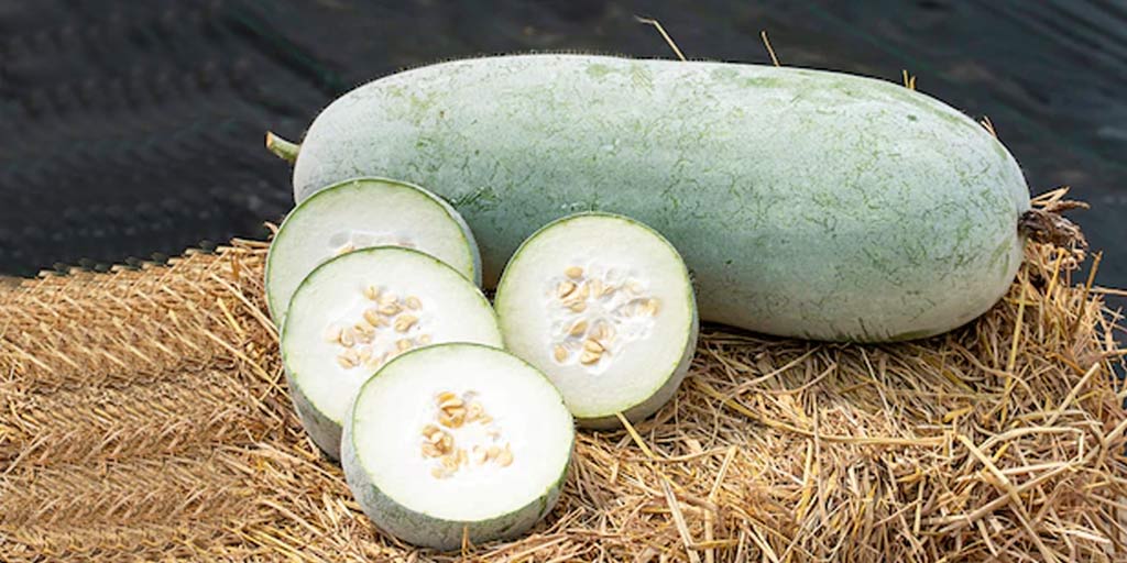 6 Health Benefits Of Ash Gourd