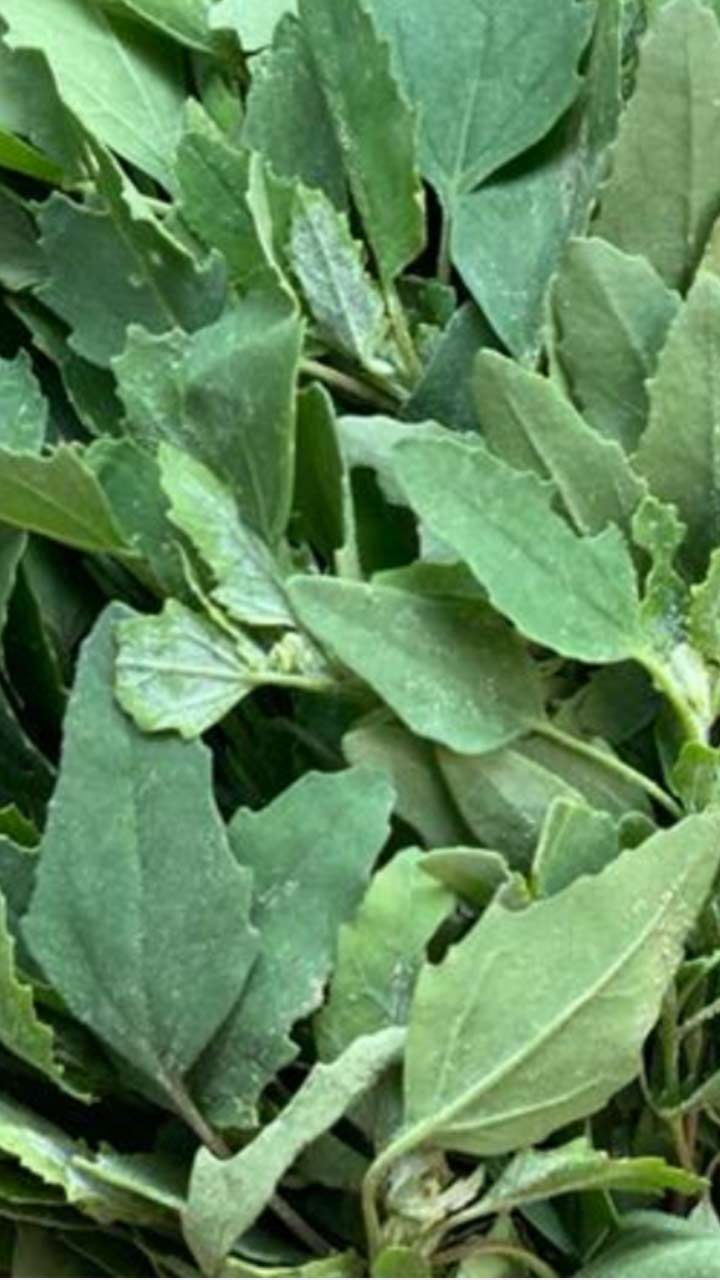 बथुआ का जूस पीने के फायदे