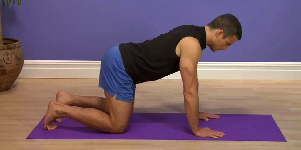 Reasons to Practice Cow Pose Daily